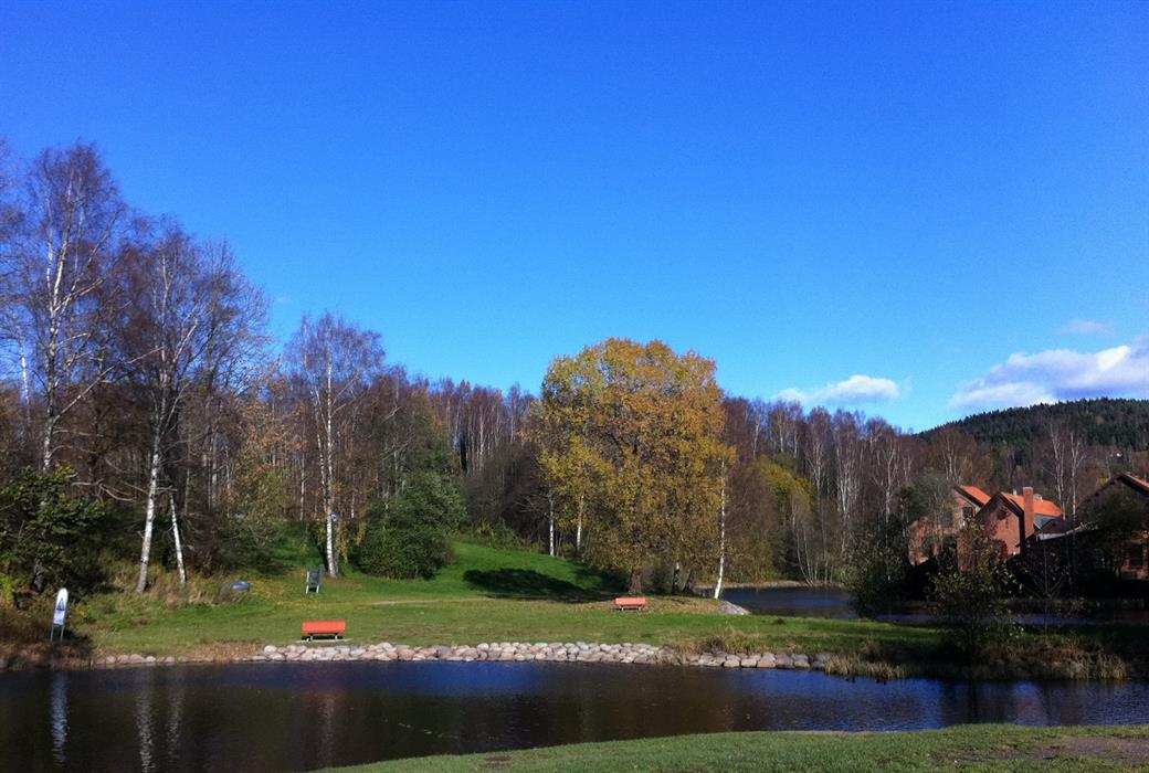 Frysja / Brekkedammen