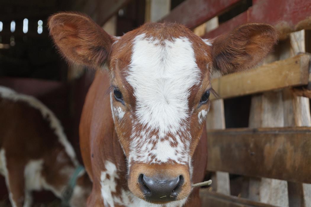 Holt Farm - Visit Vestfold
