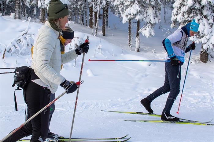 Learn2Ski